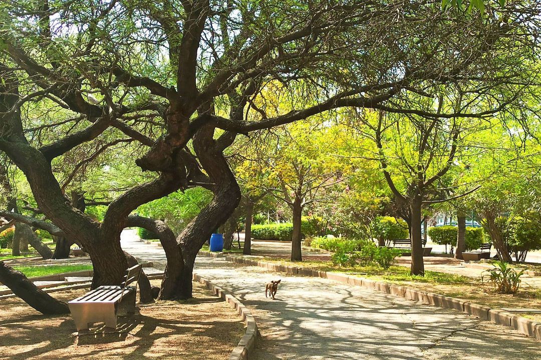 Todos los domingos será gratis la entrada al Parque Metropolitano ...