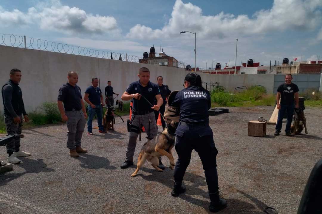 Fortalecen la Unidad Canina K-9 con más elementos - CaracolEnMovimiento