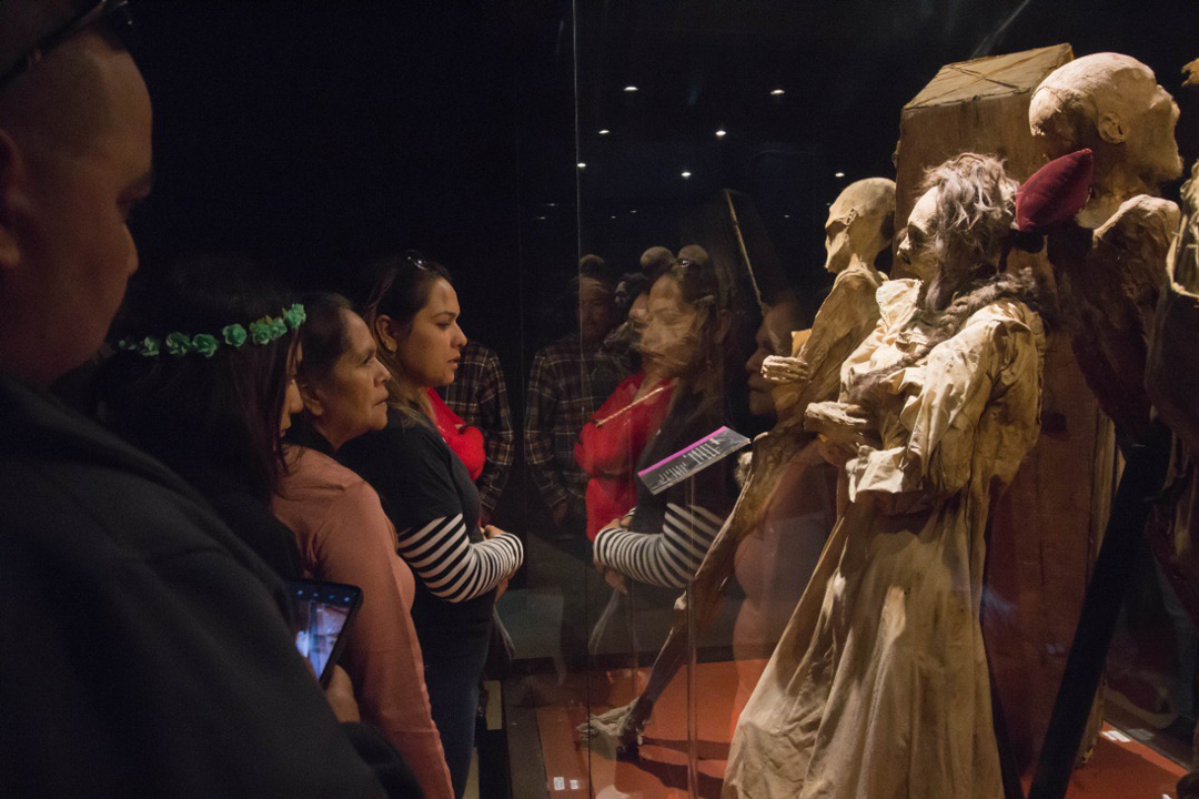 Visitan Museo de las Momias más de 113 mil personas en primeros 70 días ...