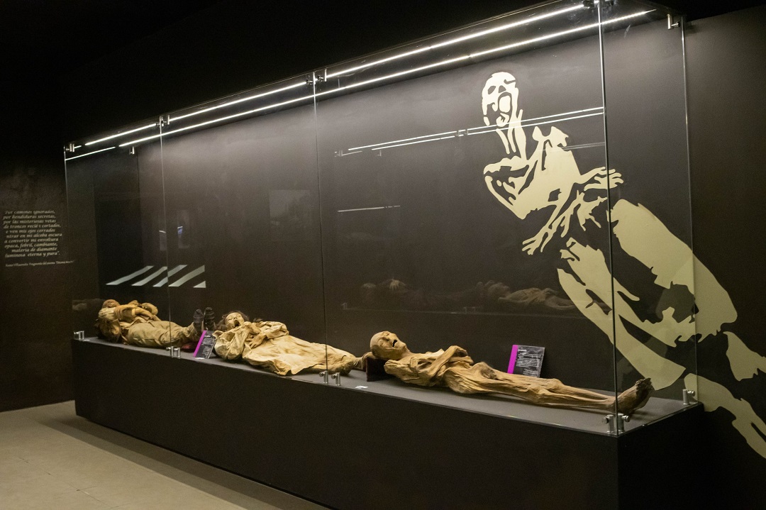 Garantizada la perfecta conservación de las 59 piezas en el Museo de ...