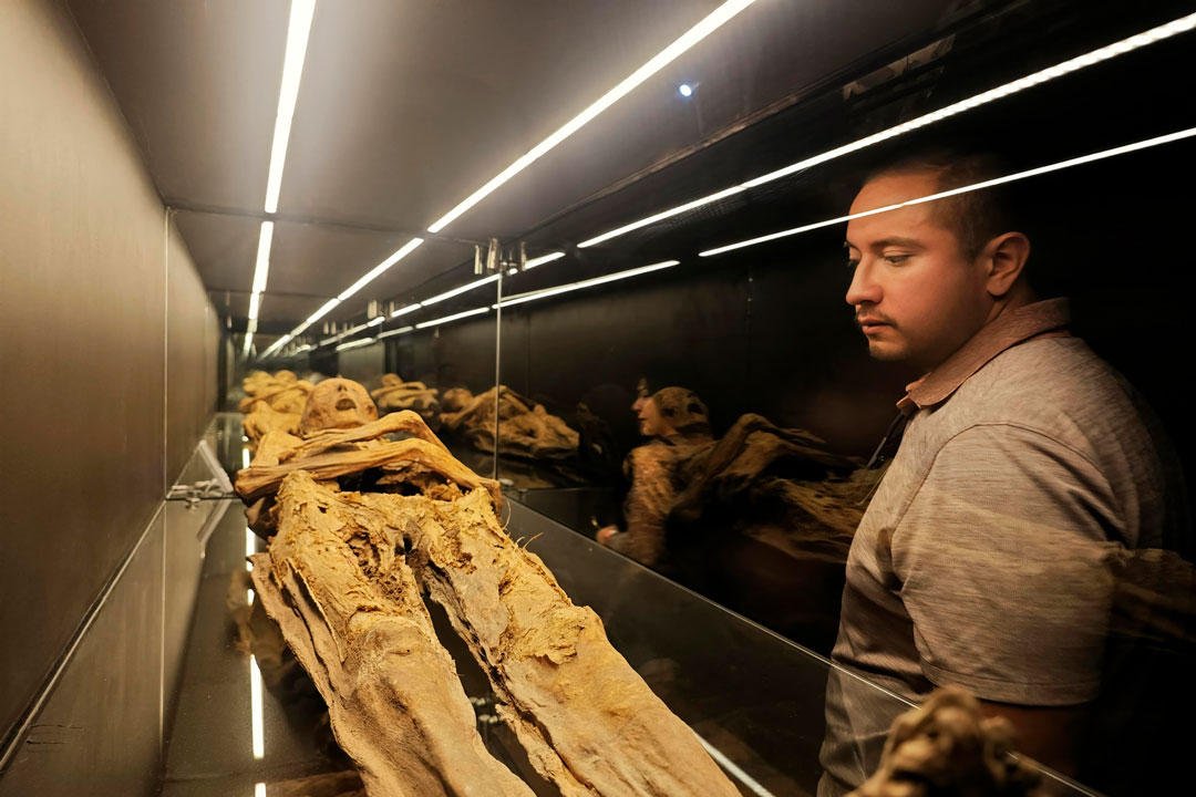 Rehabilitación del Museo de las Momias se estima en 130 millones de ...