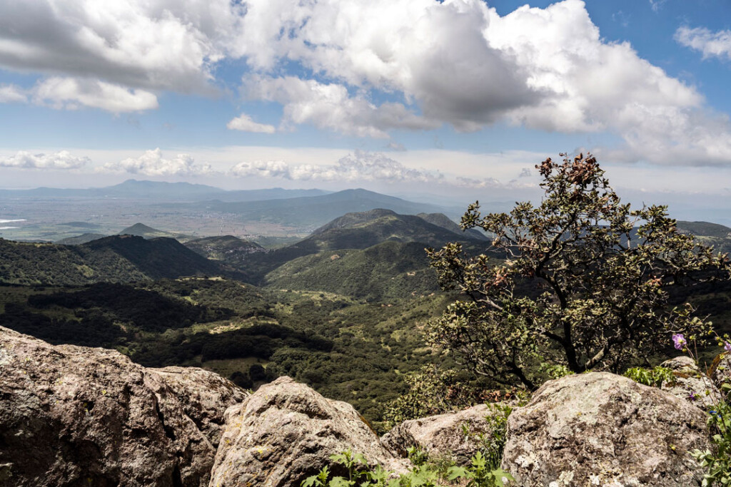 Invitan a celebrar el aniversario de tres Áreas Naturales Protegidas ...