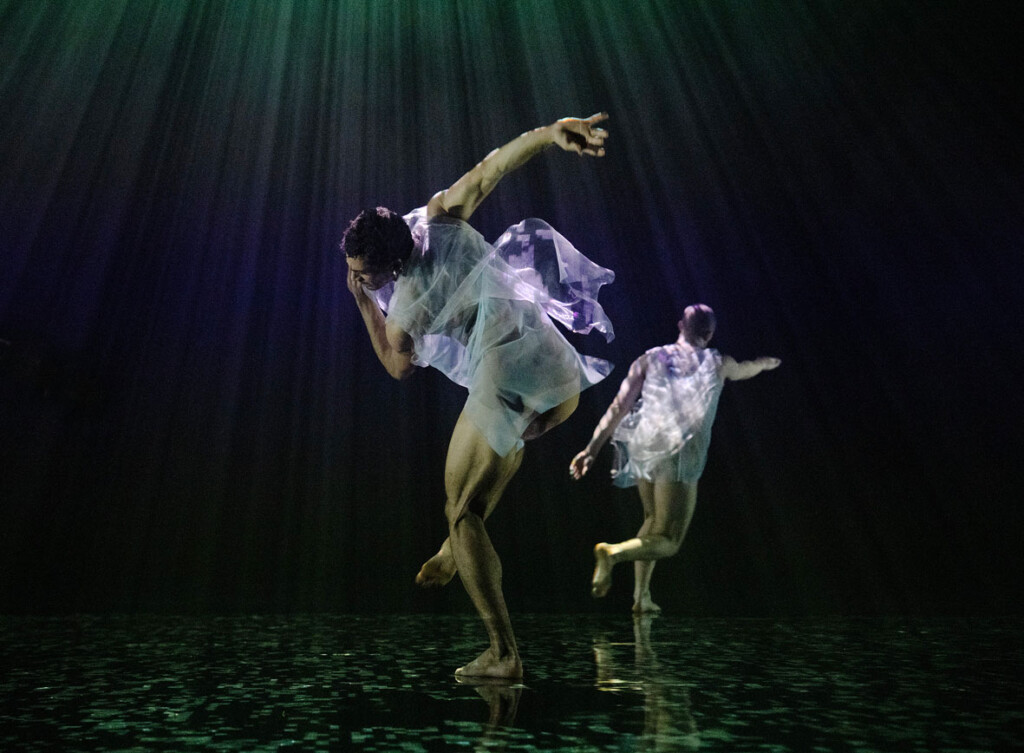 Jajack Movement presenta para el 53FIC: Samsara of Blossom, un viaje ...